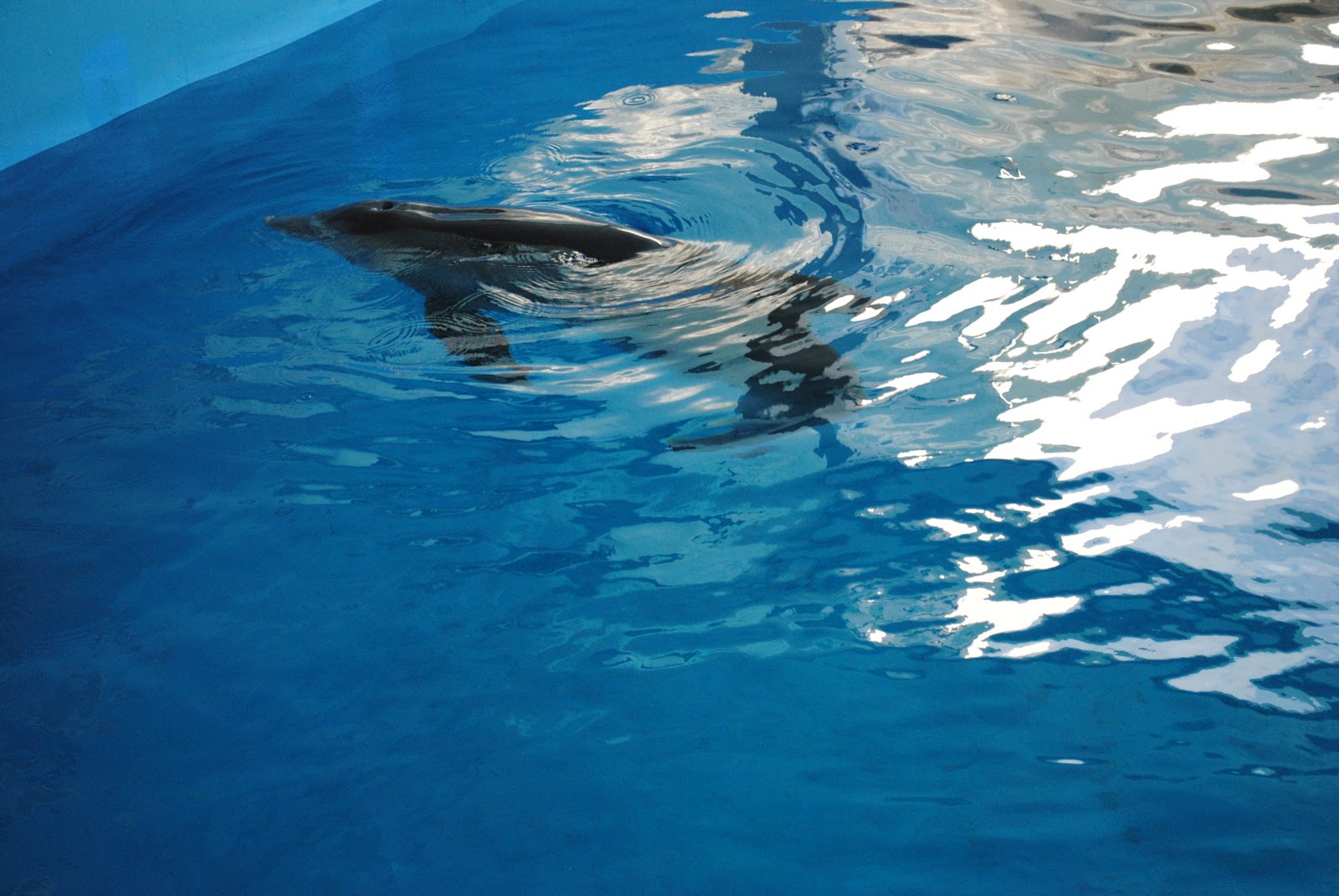 Have Sippy Will Travel