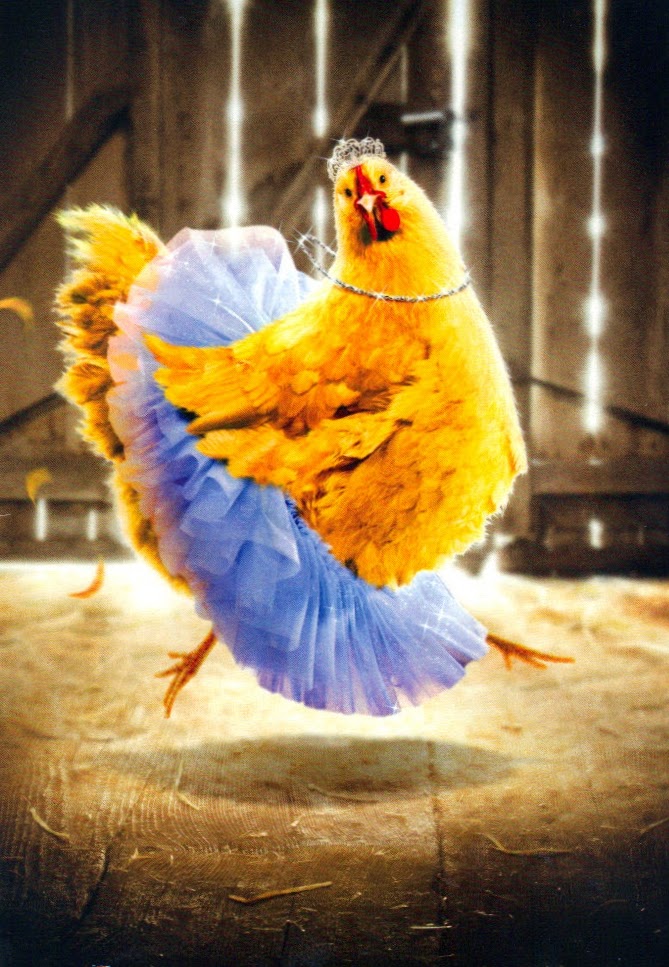 The Official PoultryBookstore.com Blog: Ballerina chicken