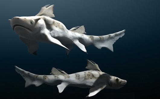 TRIASSIC SHARKS: TIBURONES EN TIERRA FIRME