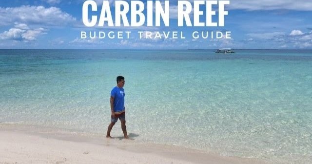 CARBIN REEF TRAVEL GUIDE BLOG 2023: How to Get There, DIY Itinerary ...