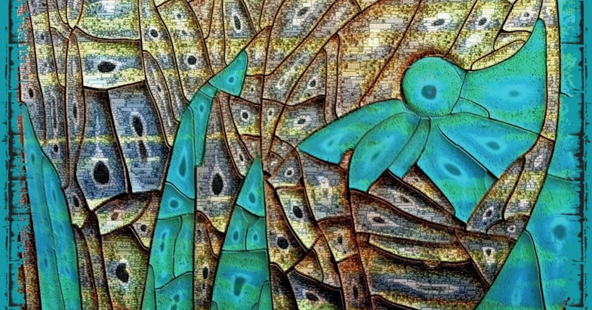 Artistic Adventurer - Teri Lou: Fascinated with Peeling Paint