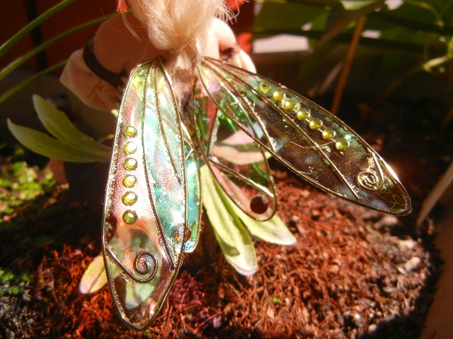 The Silver Branch: Adelaide and the Fireflies