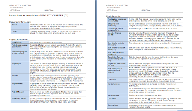 Project Management : Project Charter : Sample 1