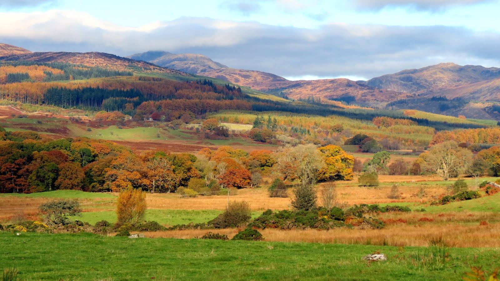 The Glebe Blog: A landscape walk in Galloway