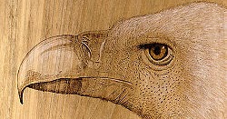 O que é pirografia? ~ Fênix Pirografia