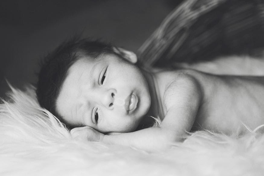 The Crew ~ Embrace The Crazy