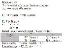 Contoh Dominasi lengkap Sel Genetika Manusia