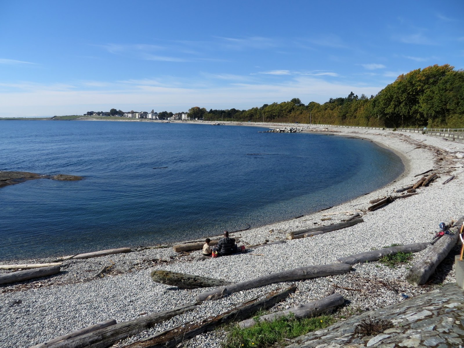 Gravel Beach: Ross Bay