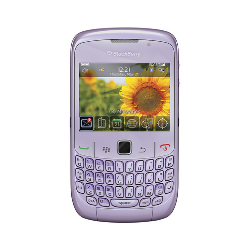 Blackberry Gemini Purple