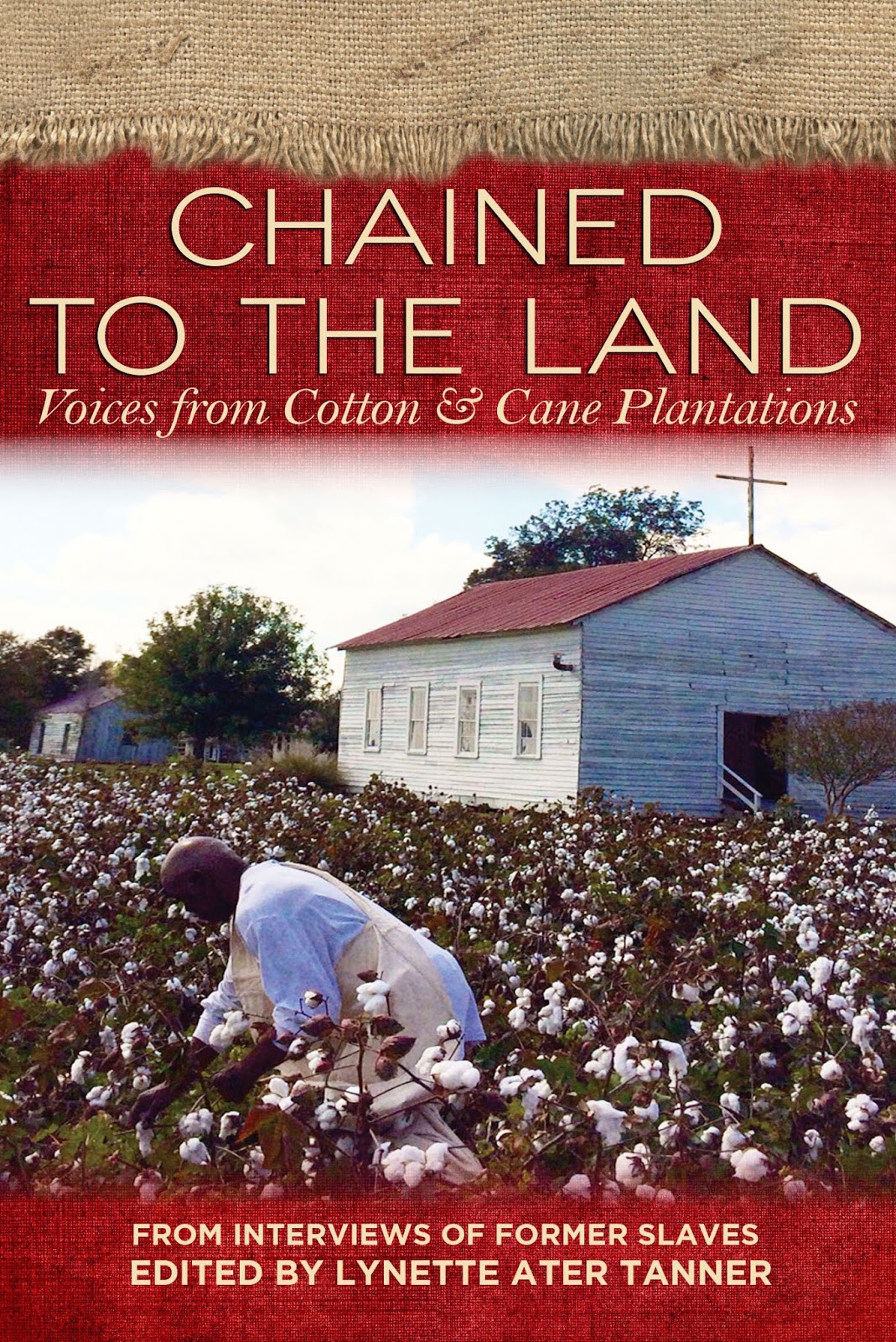Civil War Librarian: Chained To The Land: Voices From Louisiana's ... Civil War Librarian: Chained To The Land: Voices From Louisiana's ...