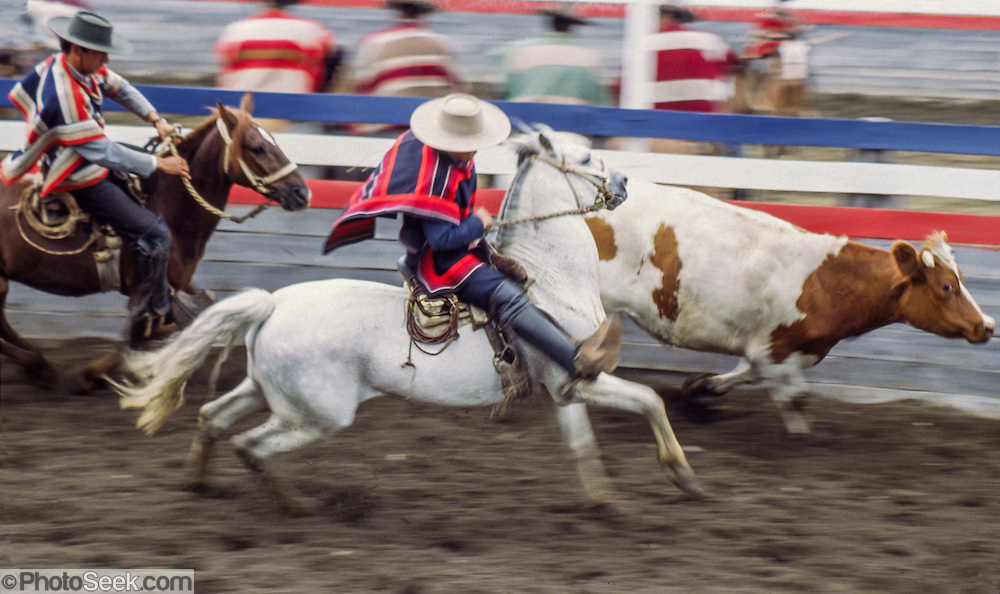 United Kingdom - English Speaking Countries: Sports