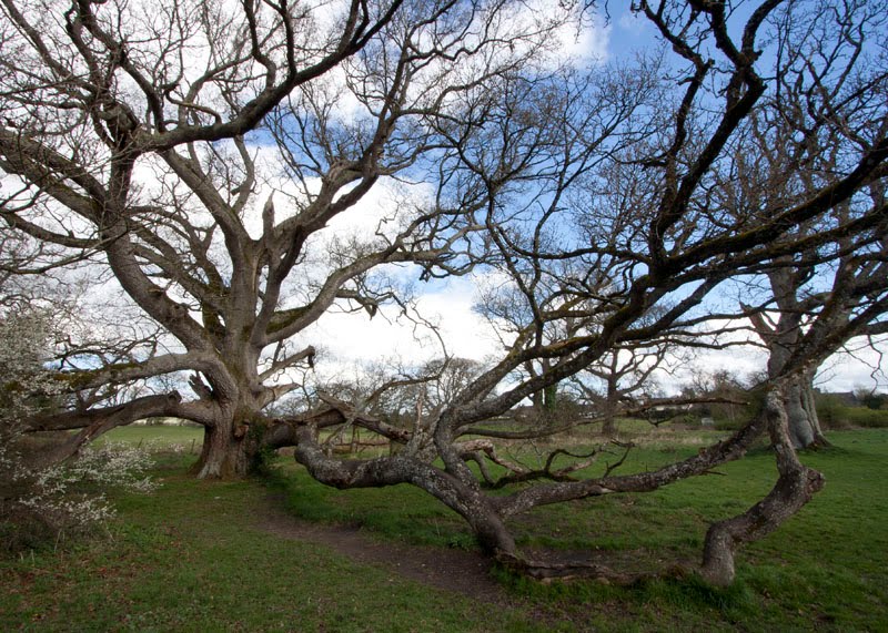Seite nicht gefunden | telekine – fernsehproduktion