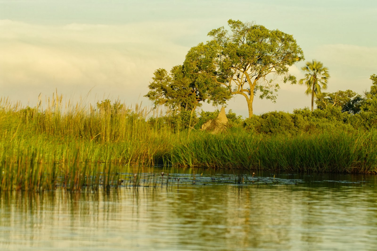 The Southern Africa Adventure