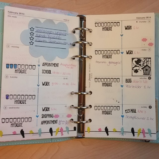 A peek into Daan's Life