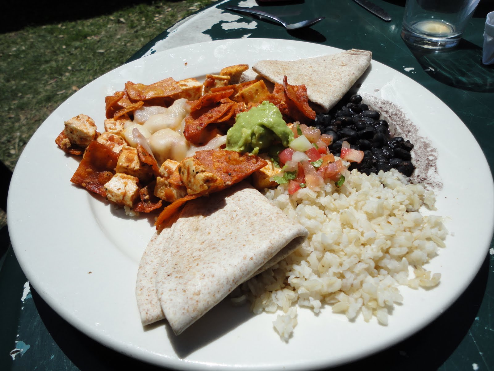 The Green Dish: SATURDAY IN DALLAS- 4/16