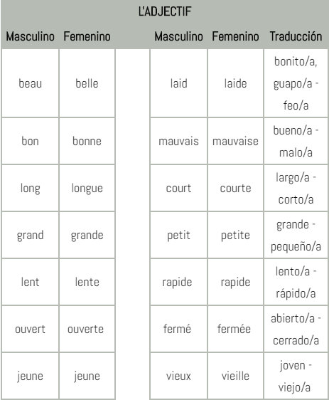 La formation des adjectifs en français