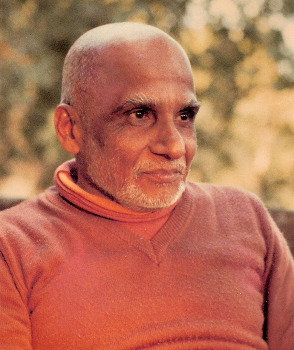 Craig Louis Stehr Reports: The Cosmic Mystery