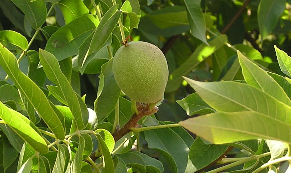 Perspective: September 2012