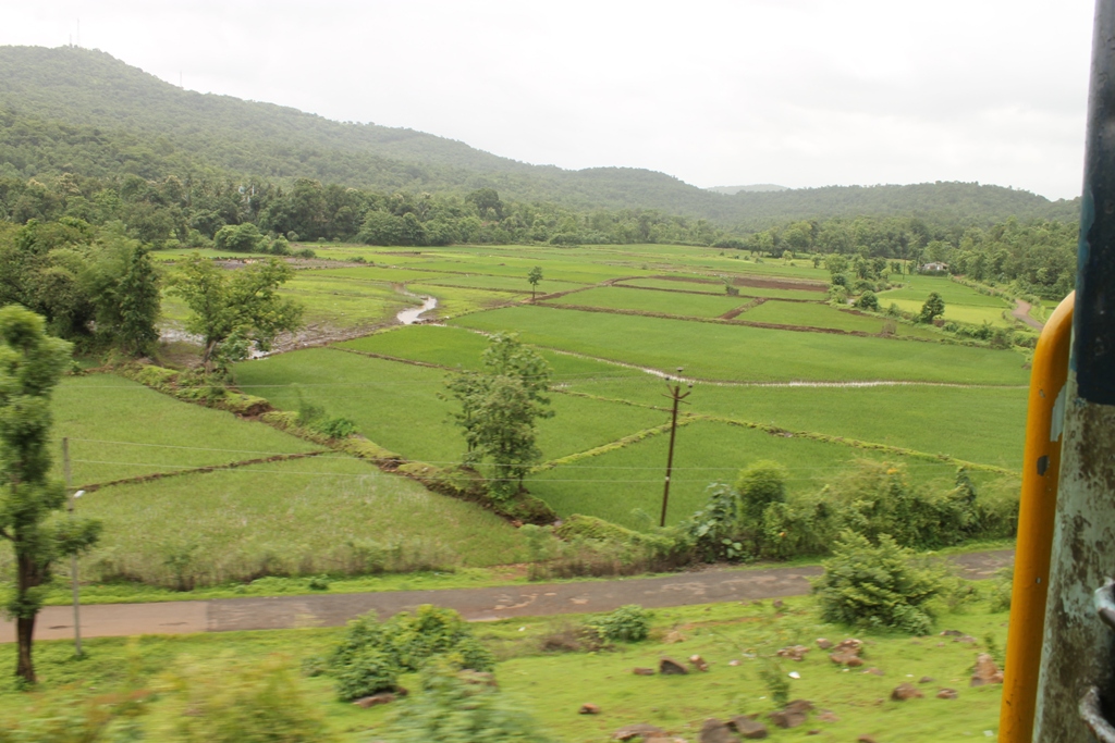 My travelogues: Konkan Yatra (Day1 & 2) - Rajapur - Diving into greenery