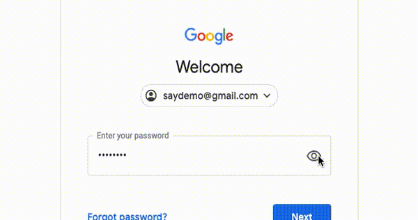 How To Toggle Between Input Type Password And Text In Angular
