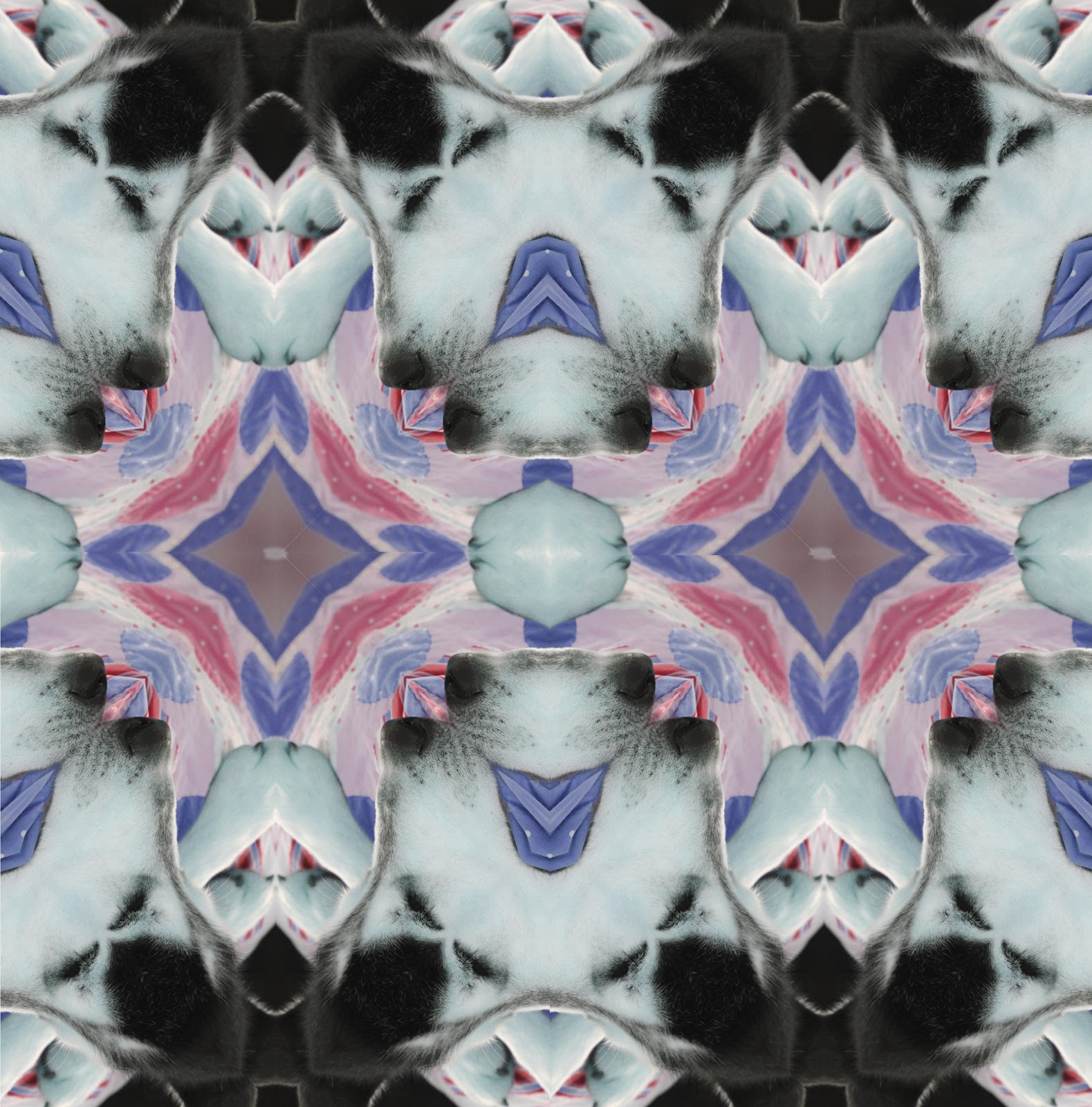 Digital Imaging Blog: Kaleidoscope