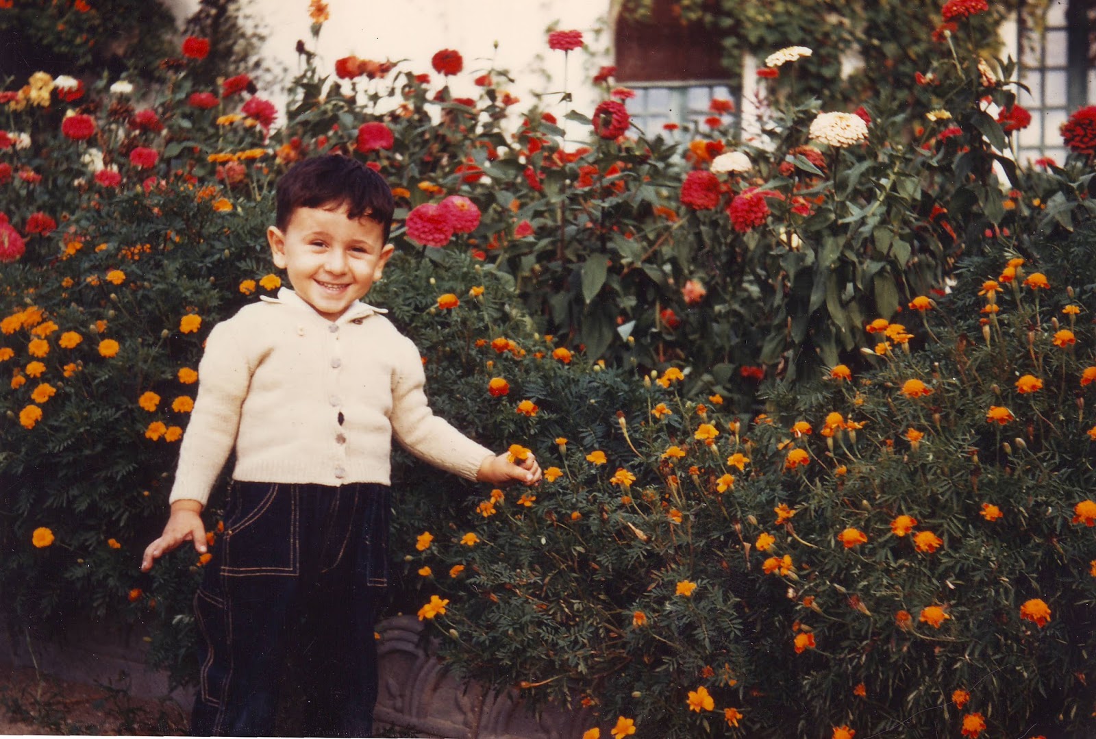 NATAF Story: Jacqueline