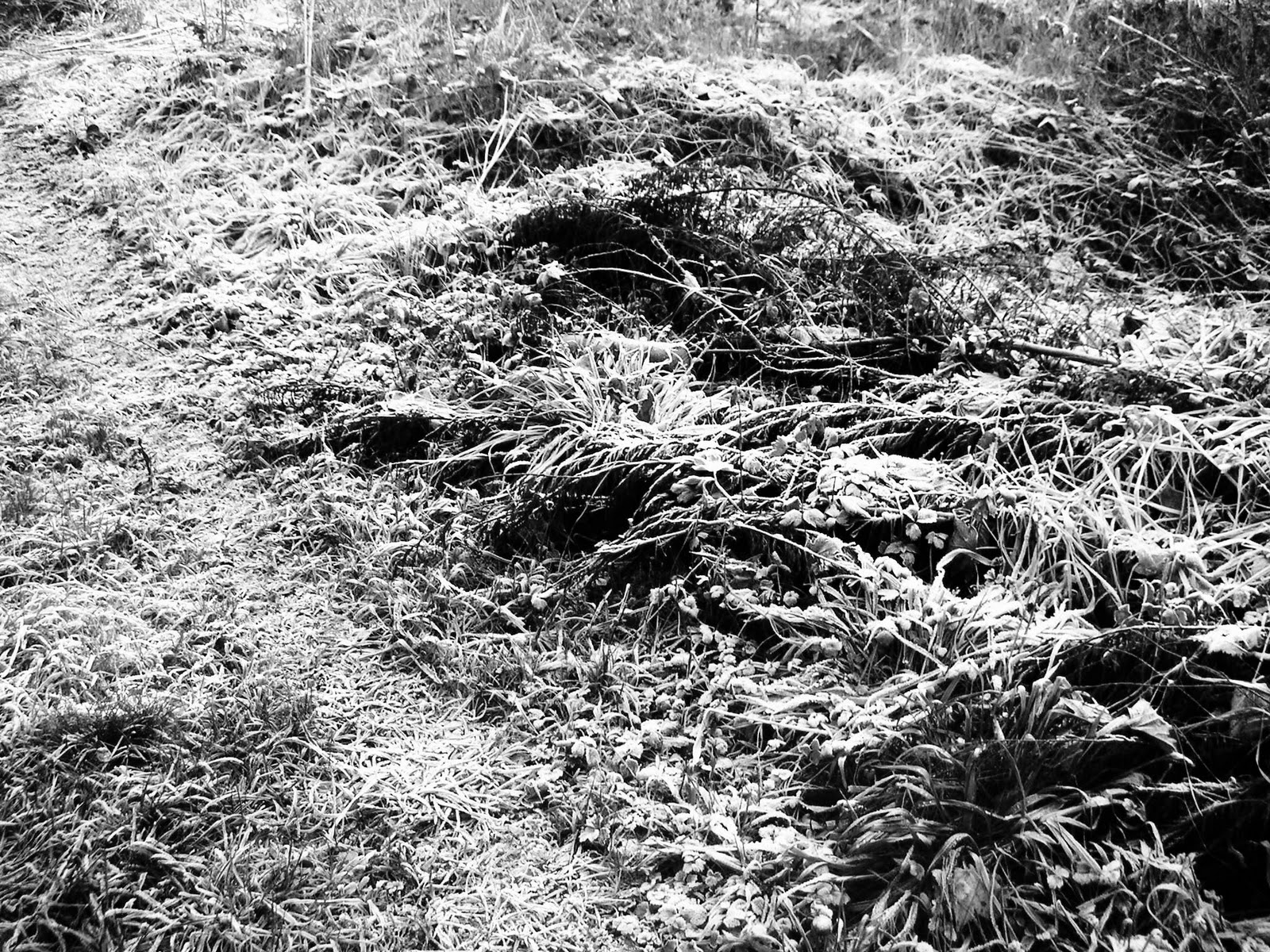 PLUNDERPHONICS WITCH HOUSE plunderphonics-witch-house