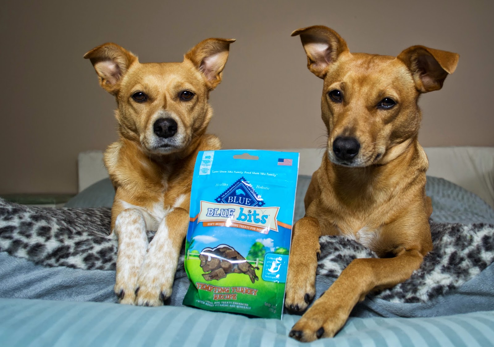 ZoePhee: Blue "Blue Bits" & Natural Balance "Lamb Lung Bites" Review