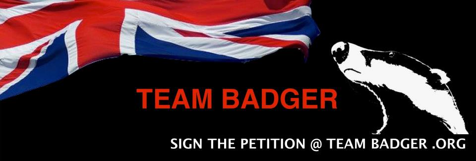 Queen en México: “Save The Badger Badger” disponible en iTunes - Tejón ...