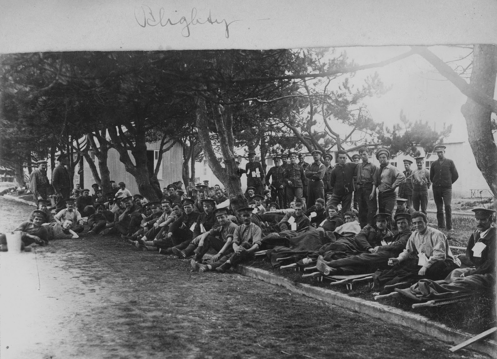 Olive Tree Genealogy Blog: Nursing Sister WW1 Photo Album 35R Blighty