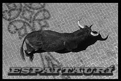 ESPAI TAURÍ: Festes Faura 2011