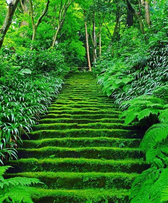 30 Unbelievable Natural Environment Produced By Man´s Hand