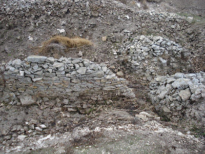 haihui-prin-dobrogea: Doru Davidovici