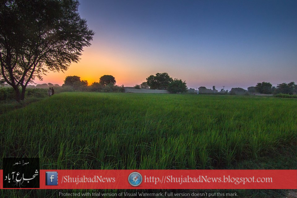 شجاع آباد کی خوبصورت فوٹوگرافی - Shujabad News - A News portal for ...