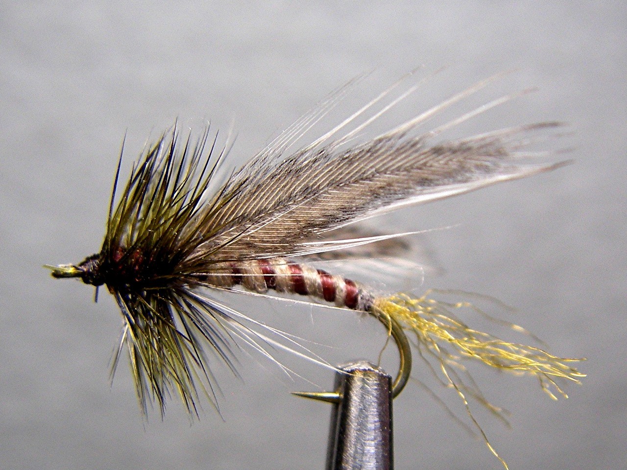 LoJ Ramblins': A Couple of Green Drakes