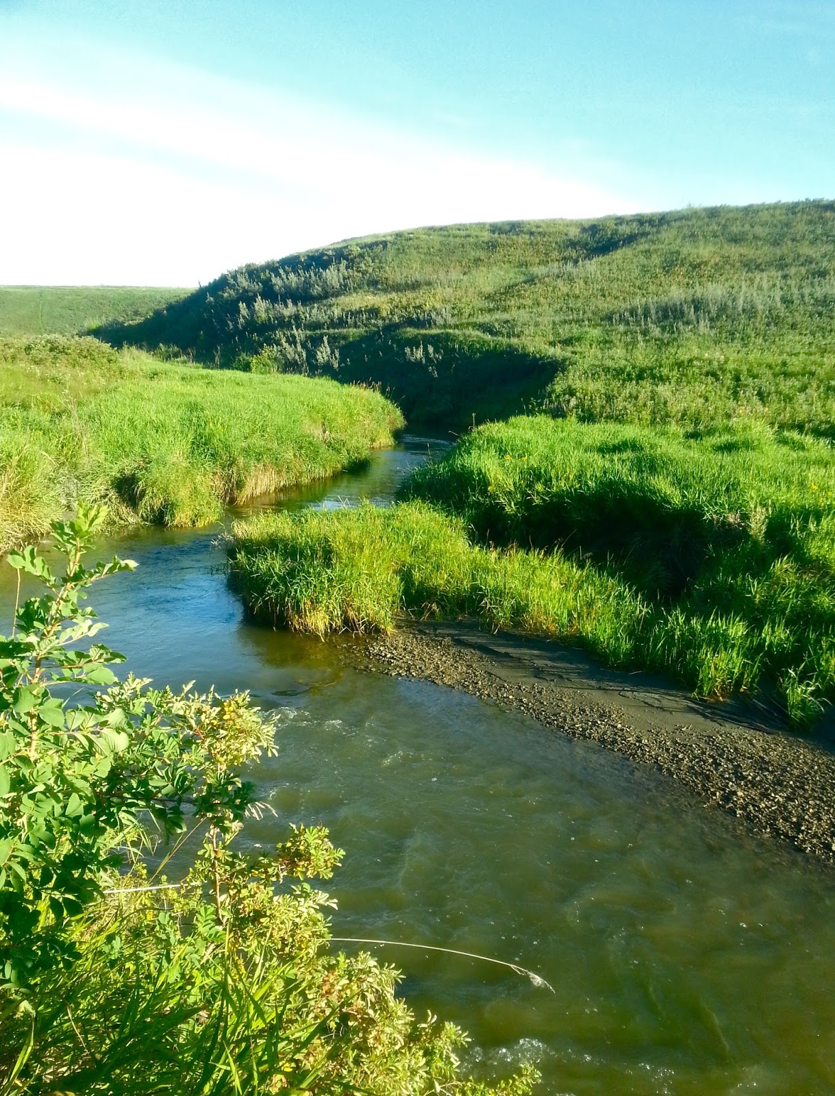 Walking Calgary: West Confluence Park