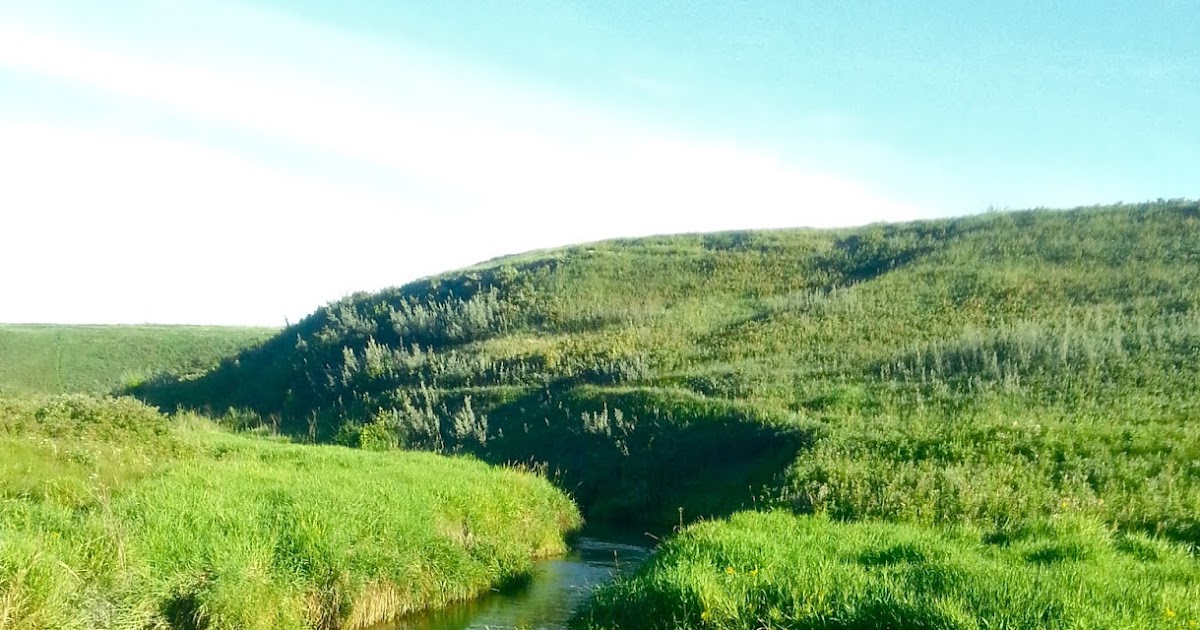 Walking Calgary: West Confluence Park