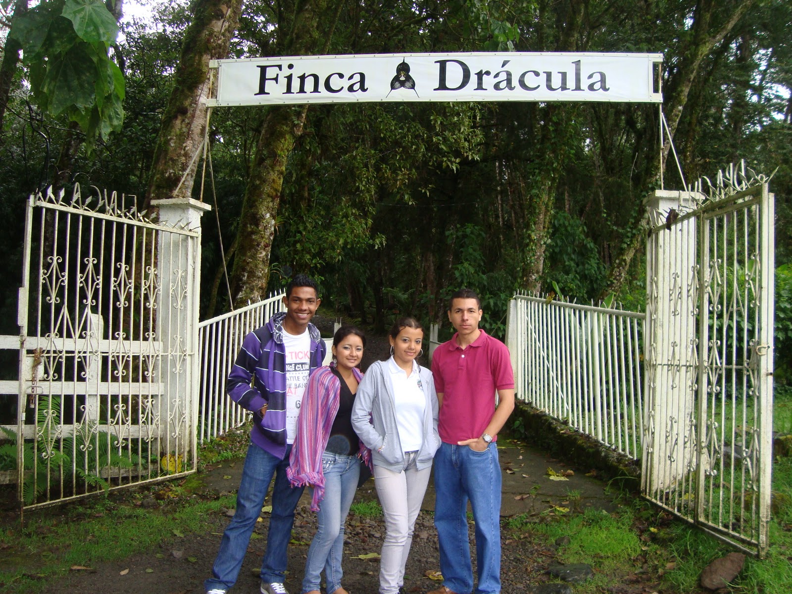 DJKJ The Profesionals of Tourism: Finca Dracula Provincia de Chiriqui ...