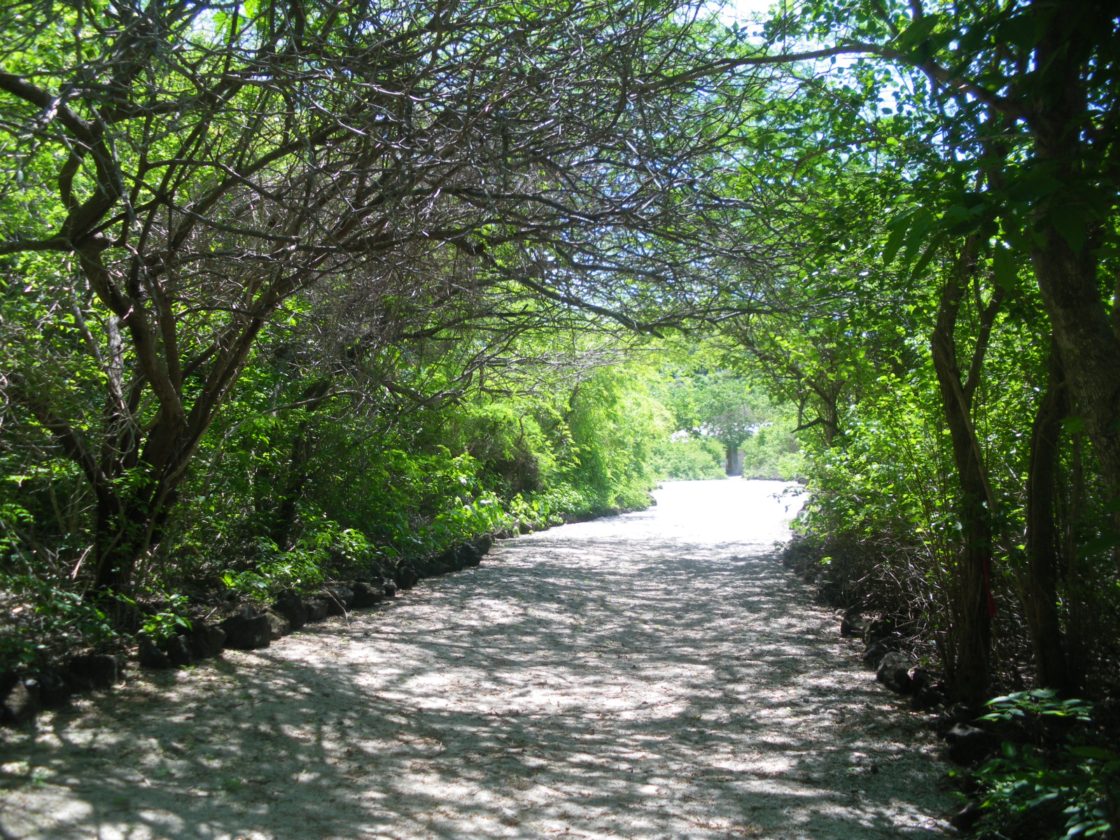 ItsApesful: Sepoc Island, Batangas