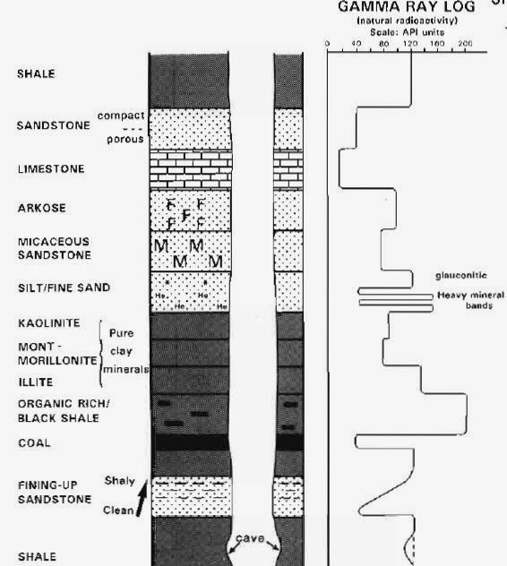 Interpretasi Well Log (Bagian 4) - Log Sinar Gamma / Gamma Ray Log ...