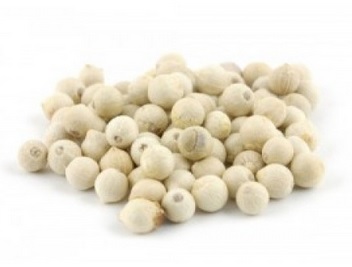 Simplisia Fructus | Farmakognosi Tanaman Obat Tradisional