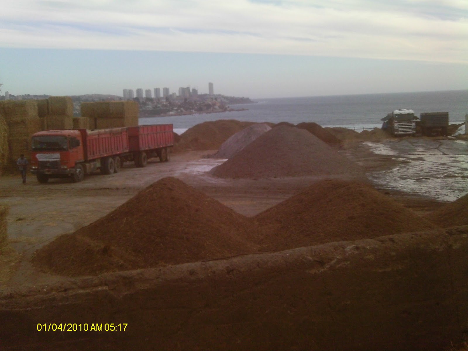 Alex Josowitz's Plus3 Chile Experience: May 14: Tools, Tomatoes, and ...