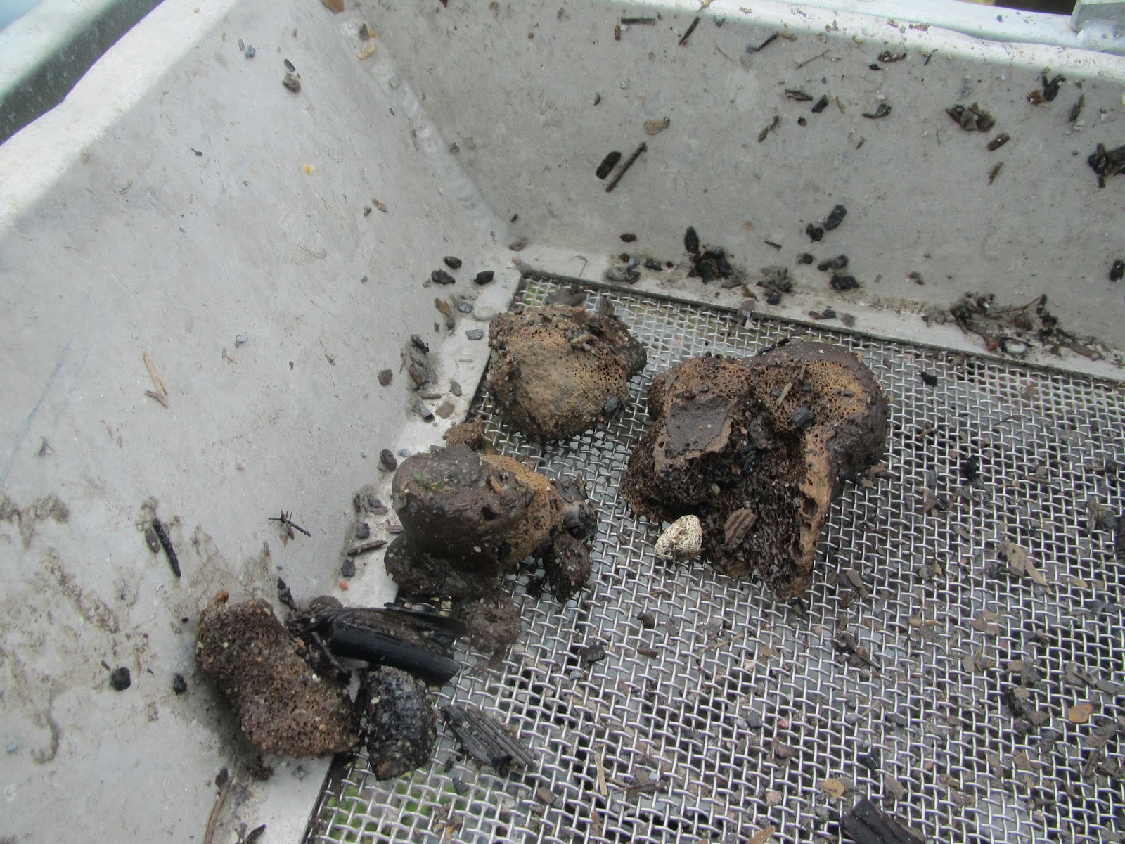 Kristine's Knafel Adventures: Birka: Maritime Archaeology