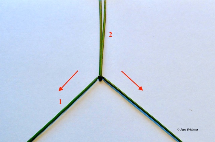 The Ever-Living Ones: The Protection of Brigid - making the three-armed ...