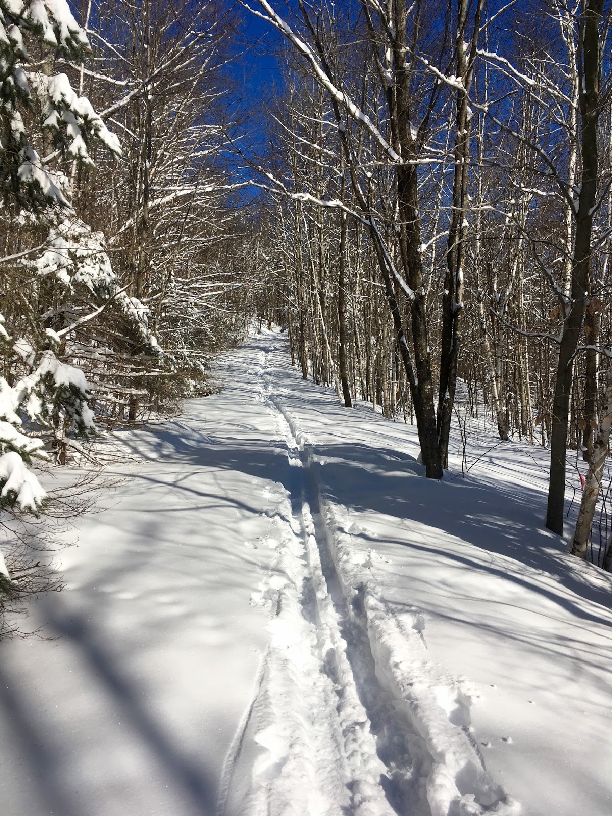 Skiglisse: La CCC et l'arrière-pays du mont Gabriel
