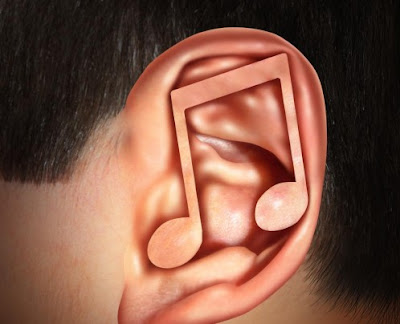 Amusia ~ Orientación en Galicia