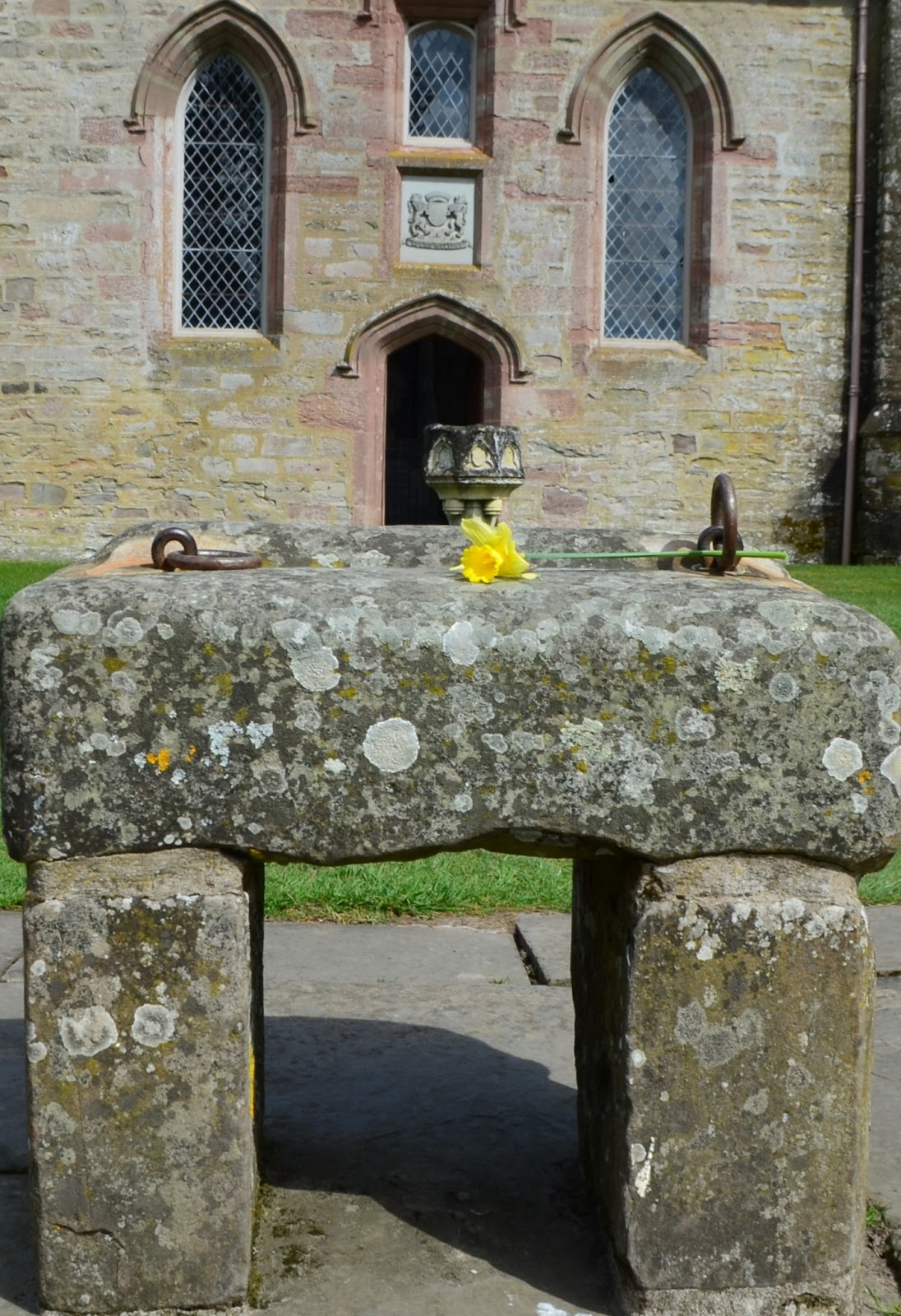 Tour Scotland: Tour Scotland Photographs Video Daffodil Stone Of ...