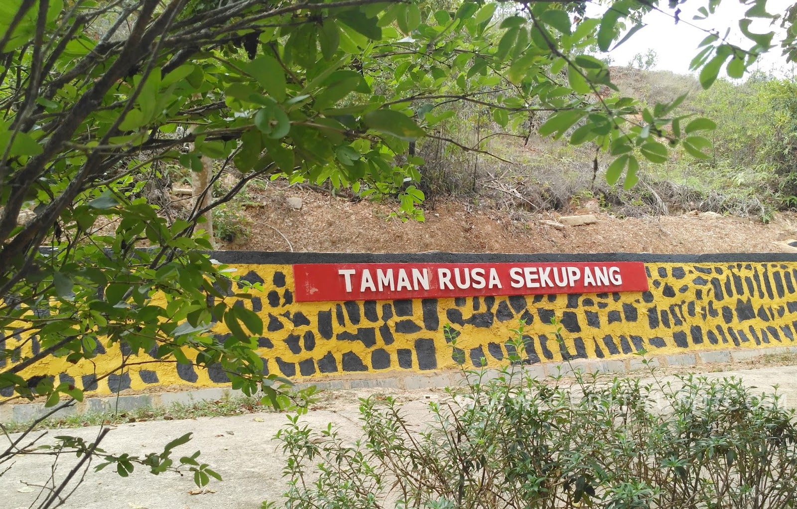 Berkunjung ke Taman Rusa dan Taman Kelinci di Sekupang, Wisata Edukatif ...