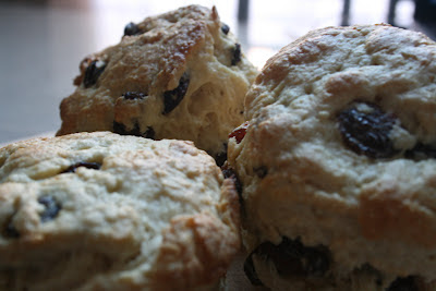 A Pinch Of Passion: Rich Fruit Scones