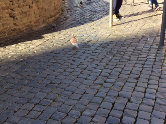 World War 2 Military Intelligence: 2015